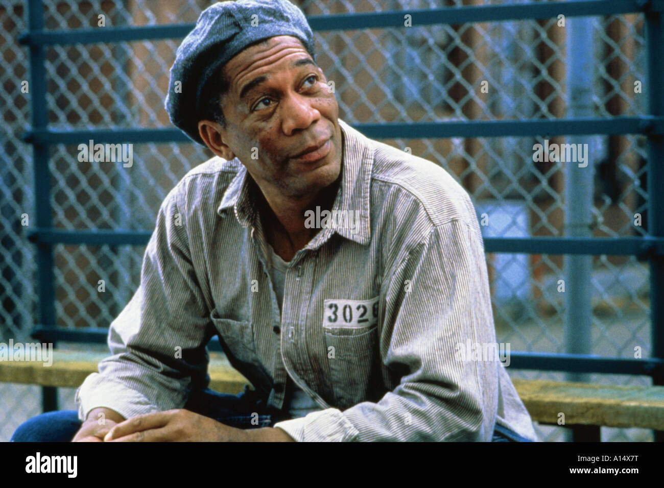 Frank darabont stephen king hi-res stock photography and images - Alamy