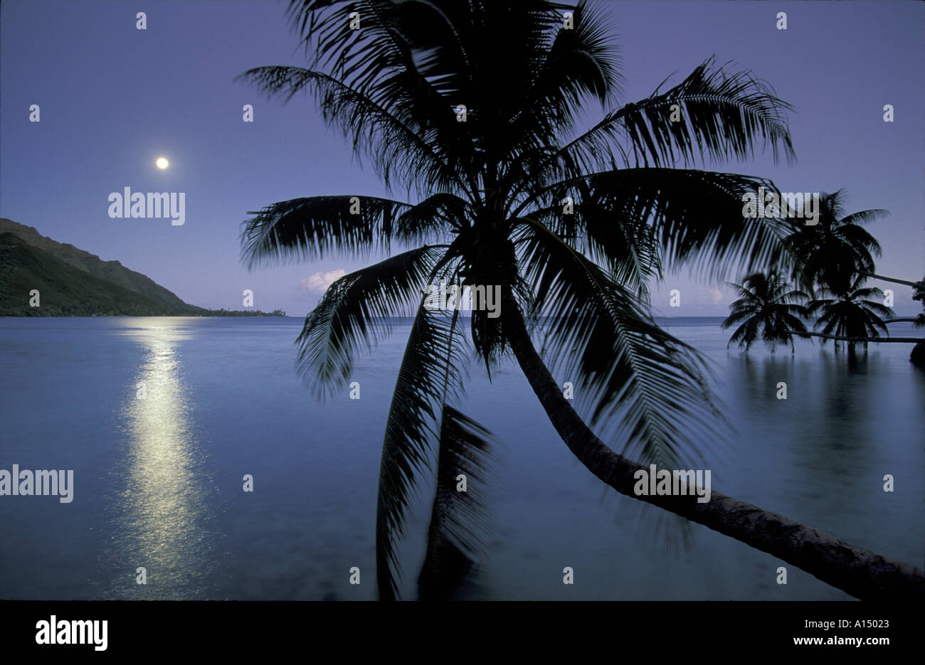 Moonlight Moorea French Polynesia Tahiti Stock Photo - Alamy