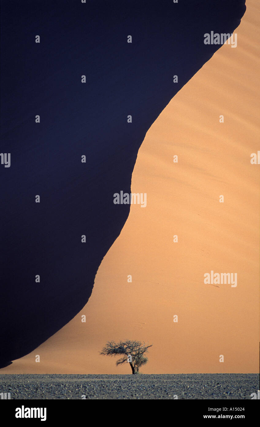 Namib Desert Namibia Africa Stock Photo - Alamy