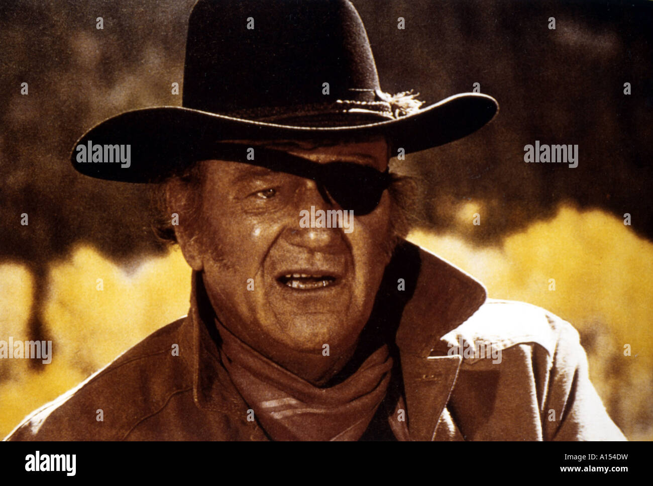 Rooster cogburn 1975 john wayne hi-res stock photography and images - Alamy