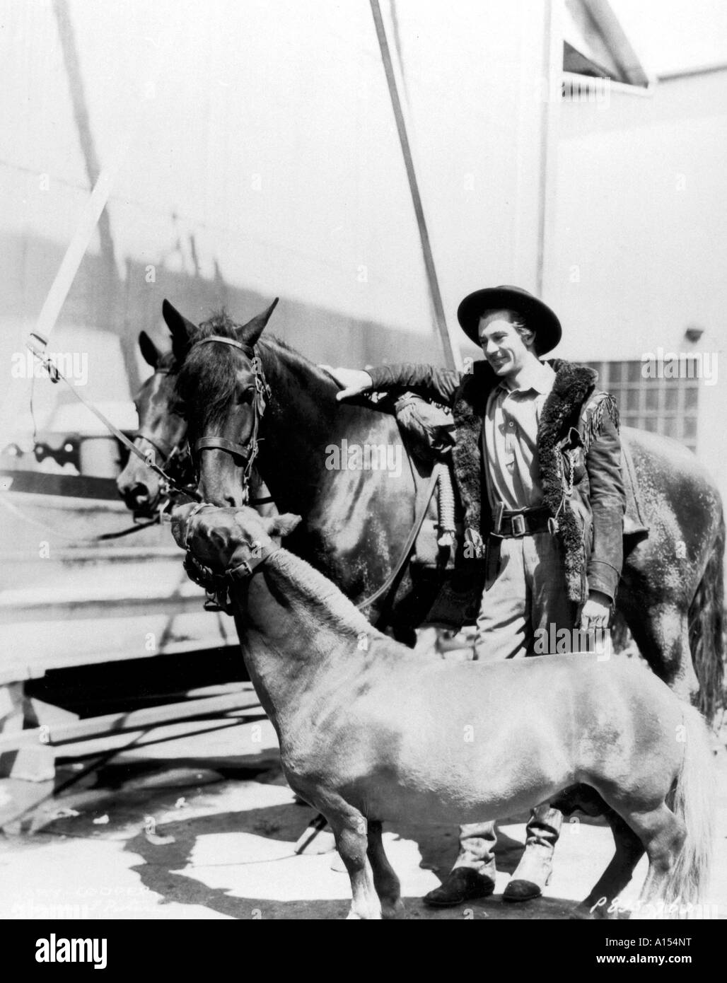 The Plainsman Year 1936 Director Cecil B DeMille Gary Cooper Stock ...