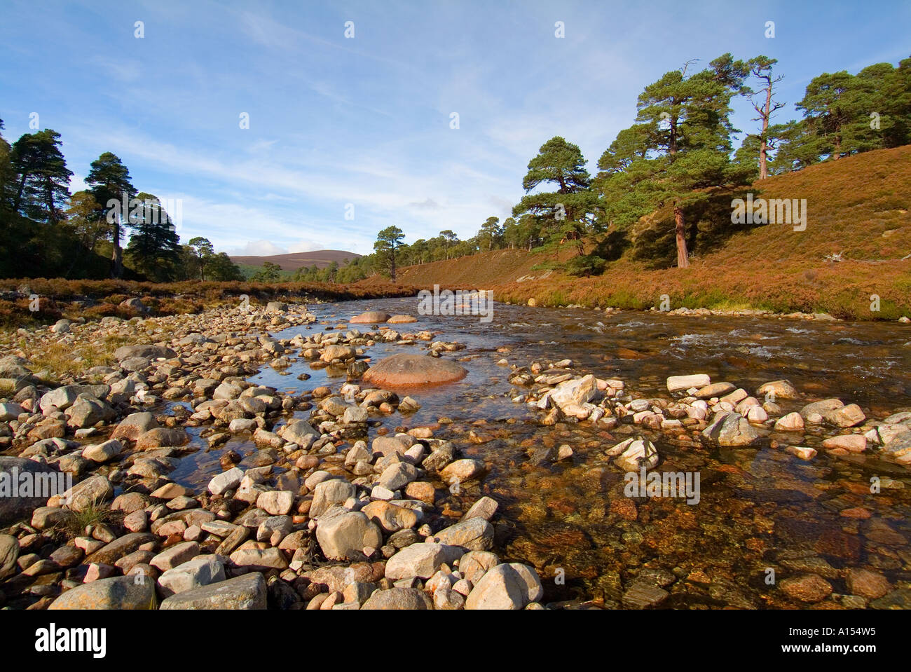 Mar lodge scotland deer hi-res stock photography and images - Alamy