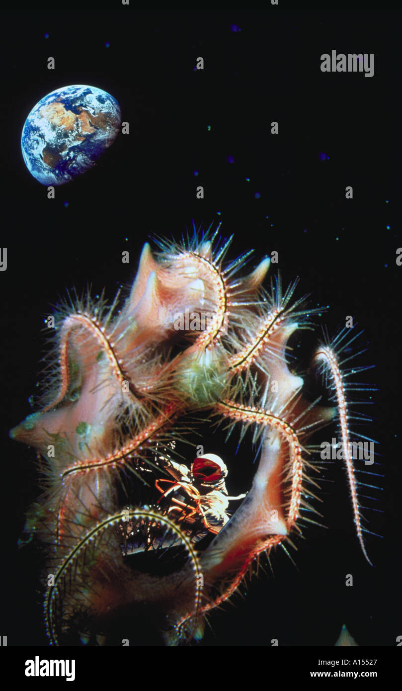 Illustration in special effects hi-res stock photography and images - Alamy