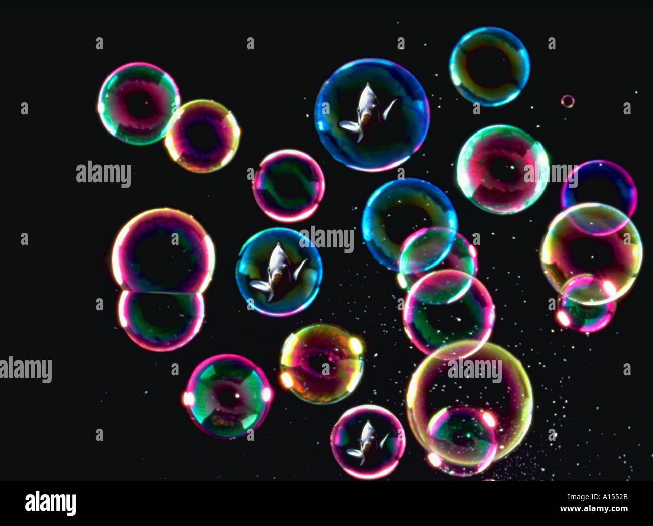 Fish floating in colorful bubbles Stock Photo - Alamy