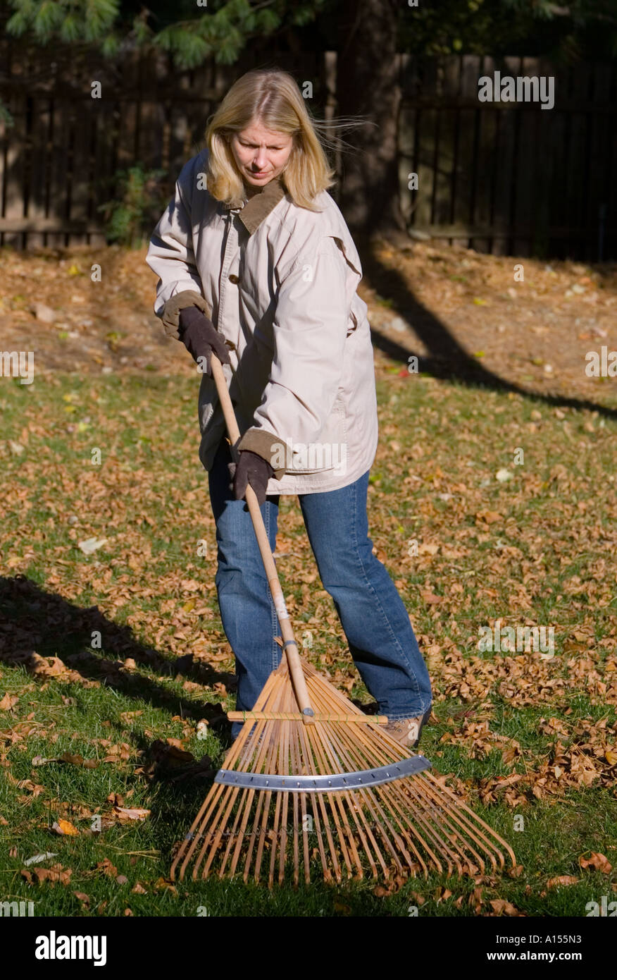 Old yard rake hi-res stock photography and images - Alamy