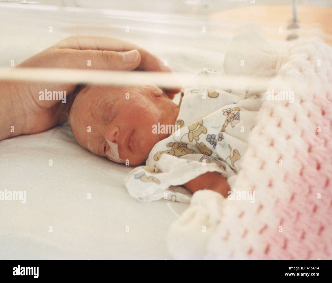 Premature hi-res stock photography and images - Alamy