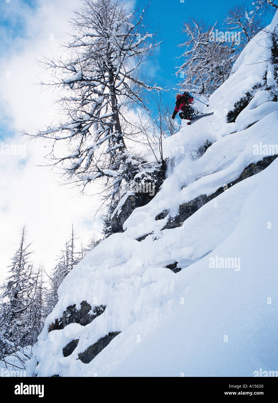 Skier leaping through trees on a very steep slope Stock Photo - Alamy
