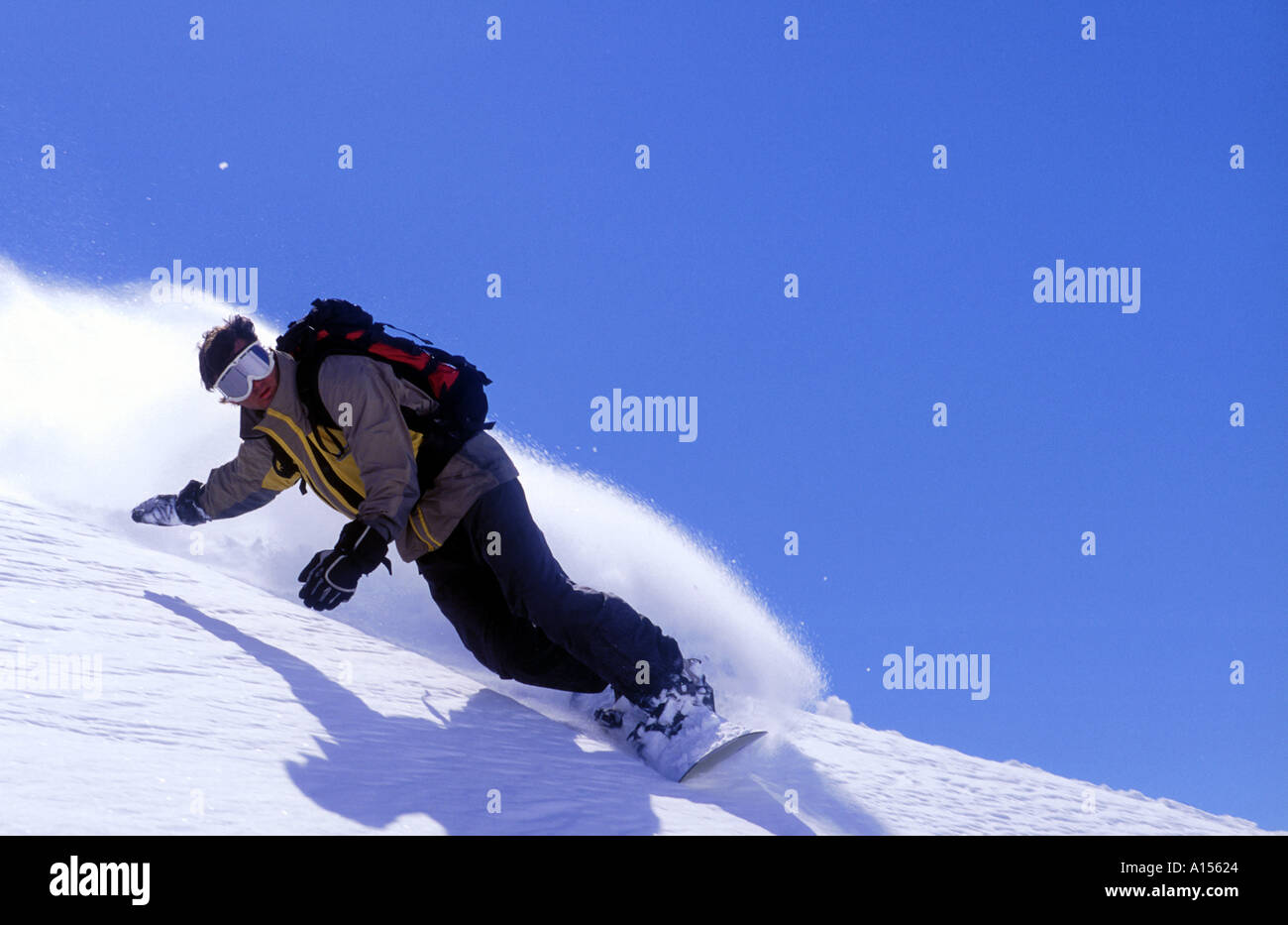 Snowboarder at speed showing typical off piste action carving turn ...