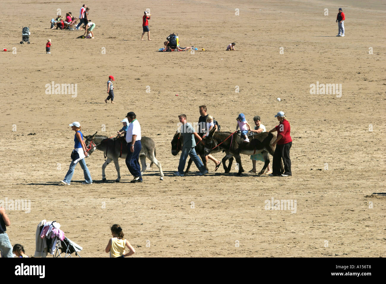 Traditional seaside donkeys at Coney beach Porthcawl South Wales Stock ...