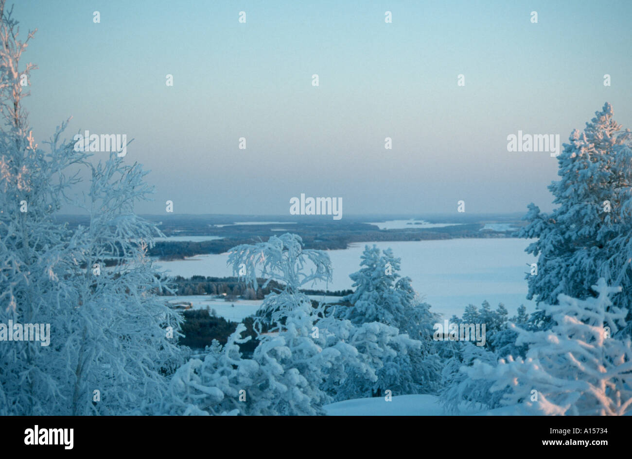 Midwinter season hi-res stock photography and images - Alamy