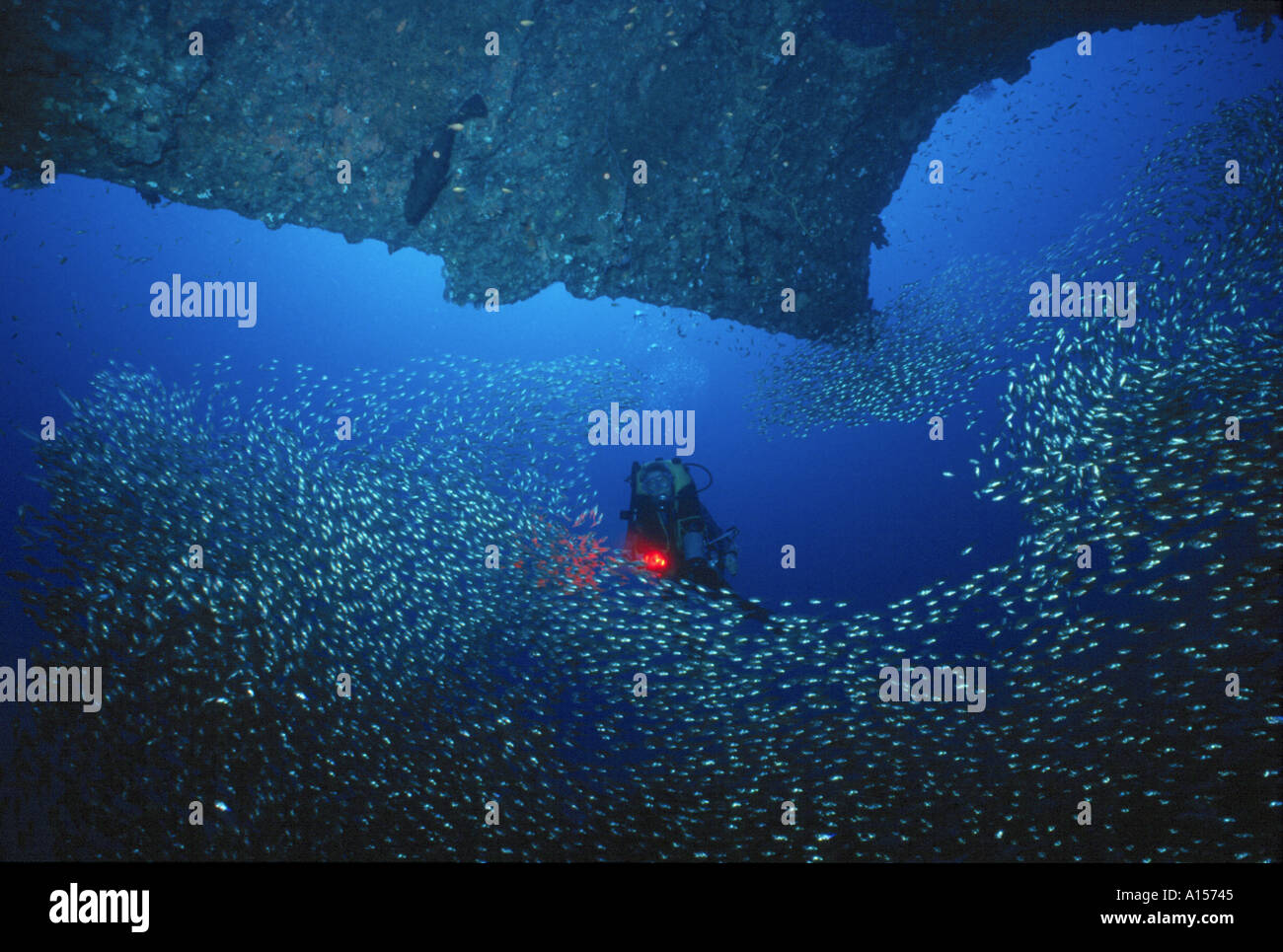 Wreck scubadiving hi-res stock photography and images - Alamy