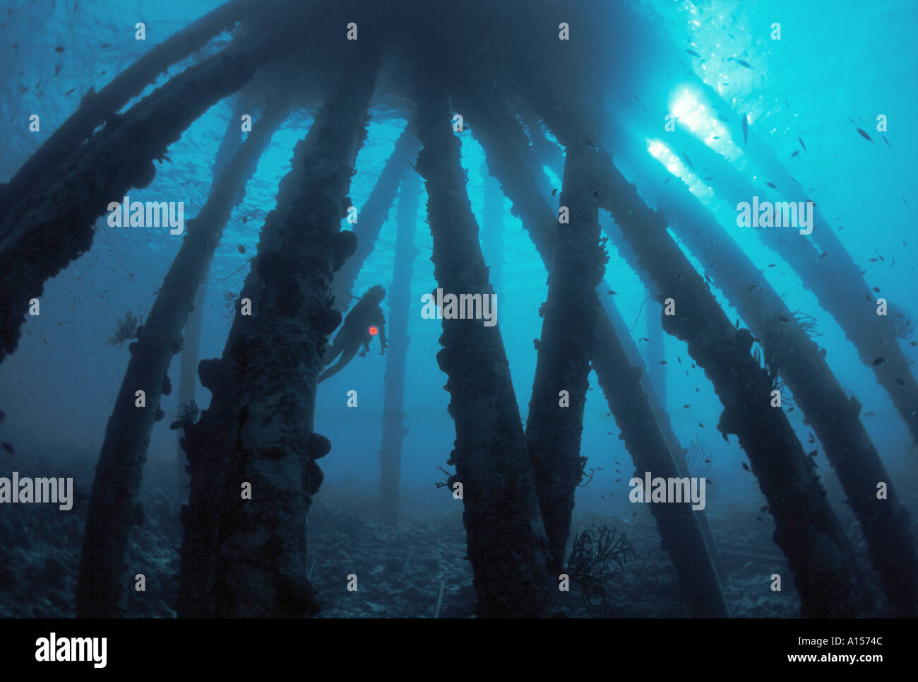 Fashion model underwater hi-res stock photography and images - Alamy