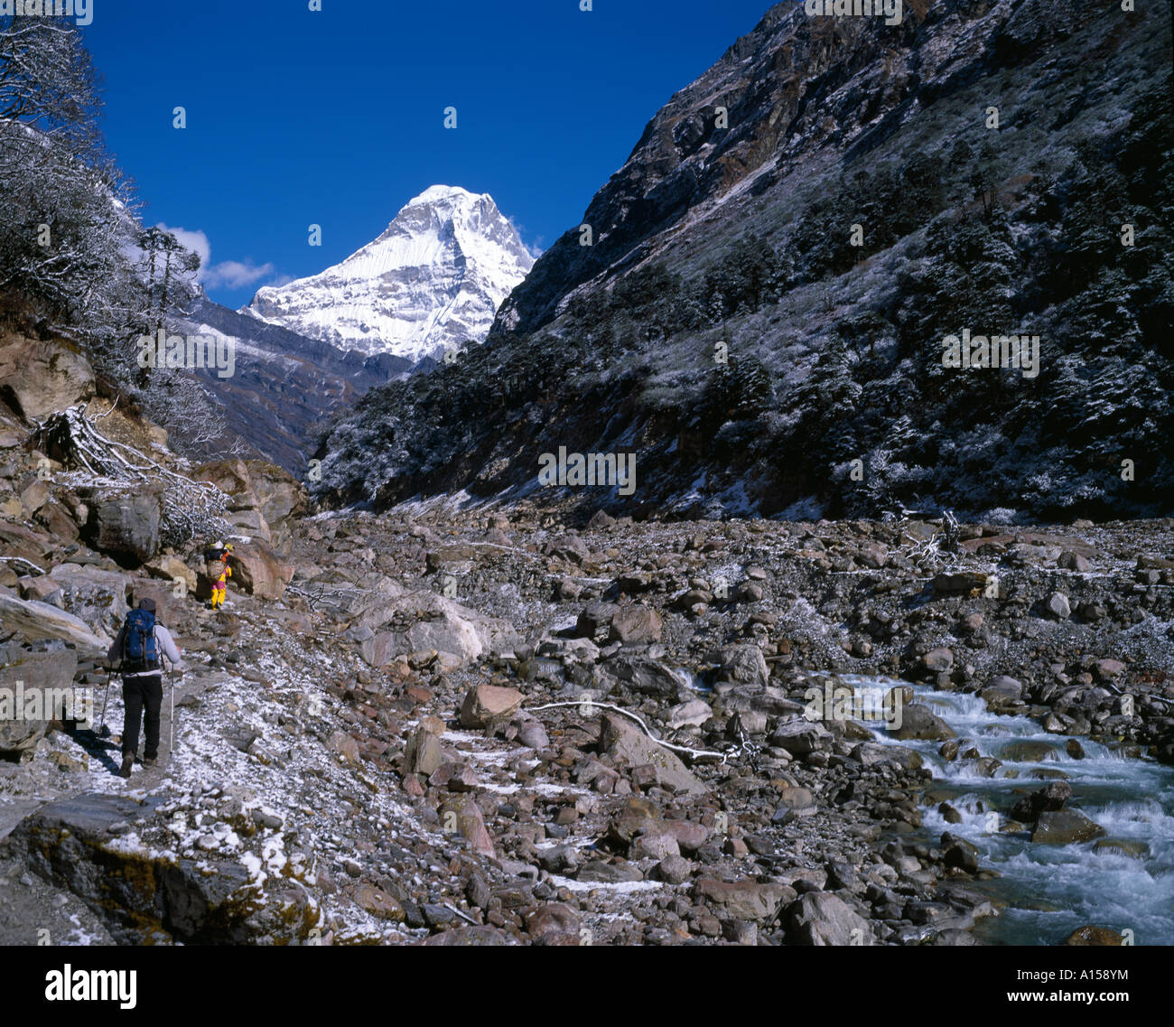Mountain path beside a glacial stream, Mera Peak, Himalayas, Nepal ...