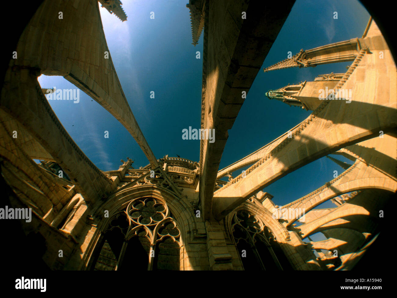 Fish eye lens view of the flying butresses of Notre Dame Cathedral ...