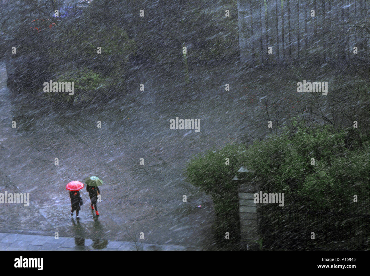 Two lone figures with umbrellas caught in rain storm Dublin Ireland A ...