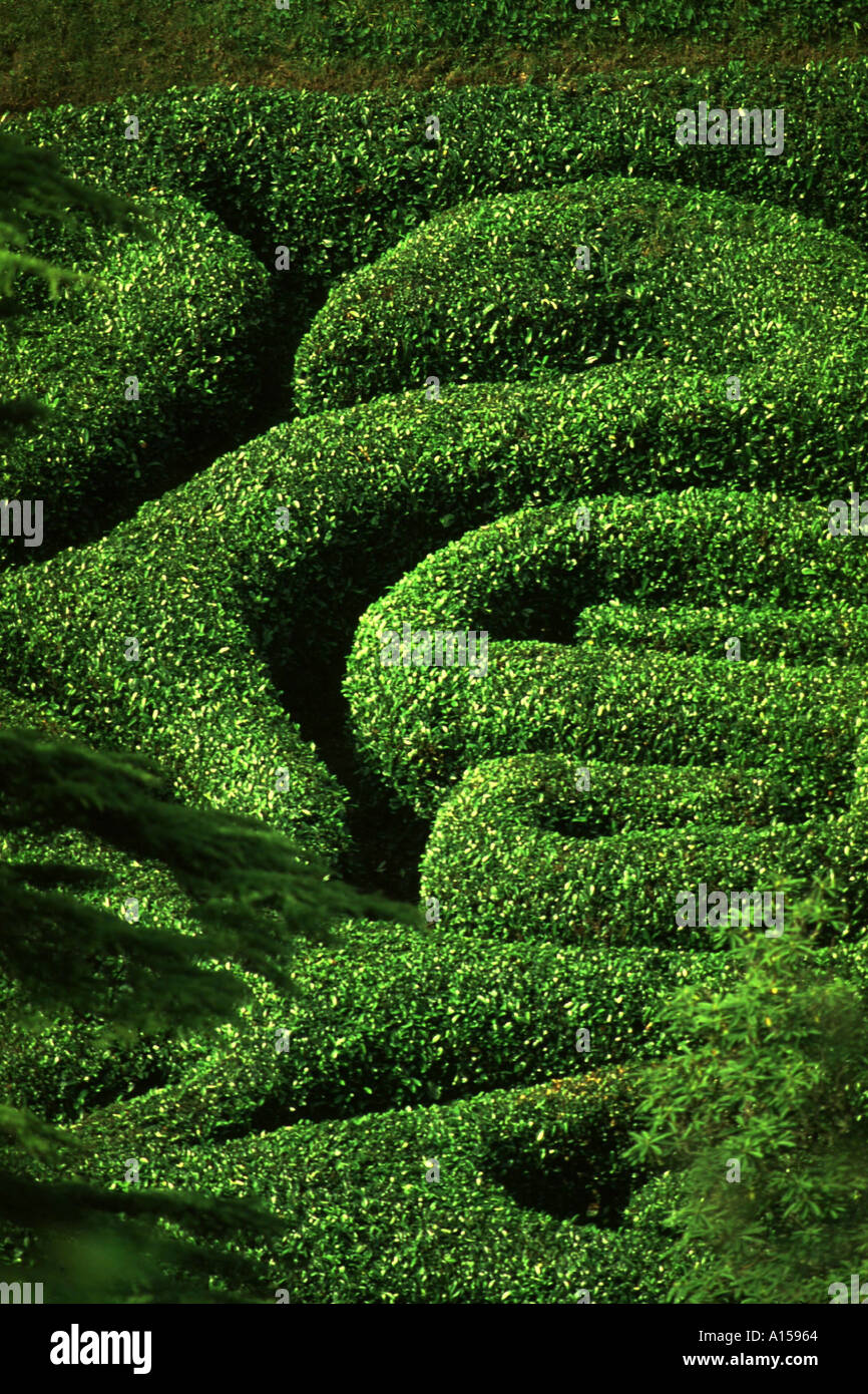 Glendurgan maze hi-res stock photography and images - Alamy
