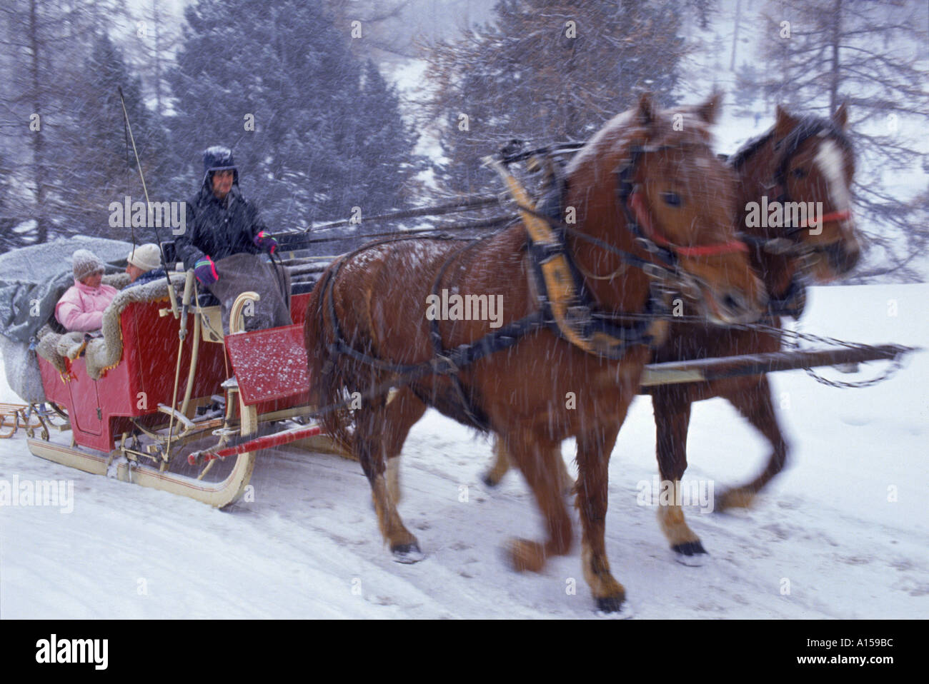 Horse drawn sleigh hi-res stock photography and images - Alamy