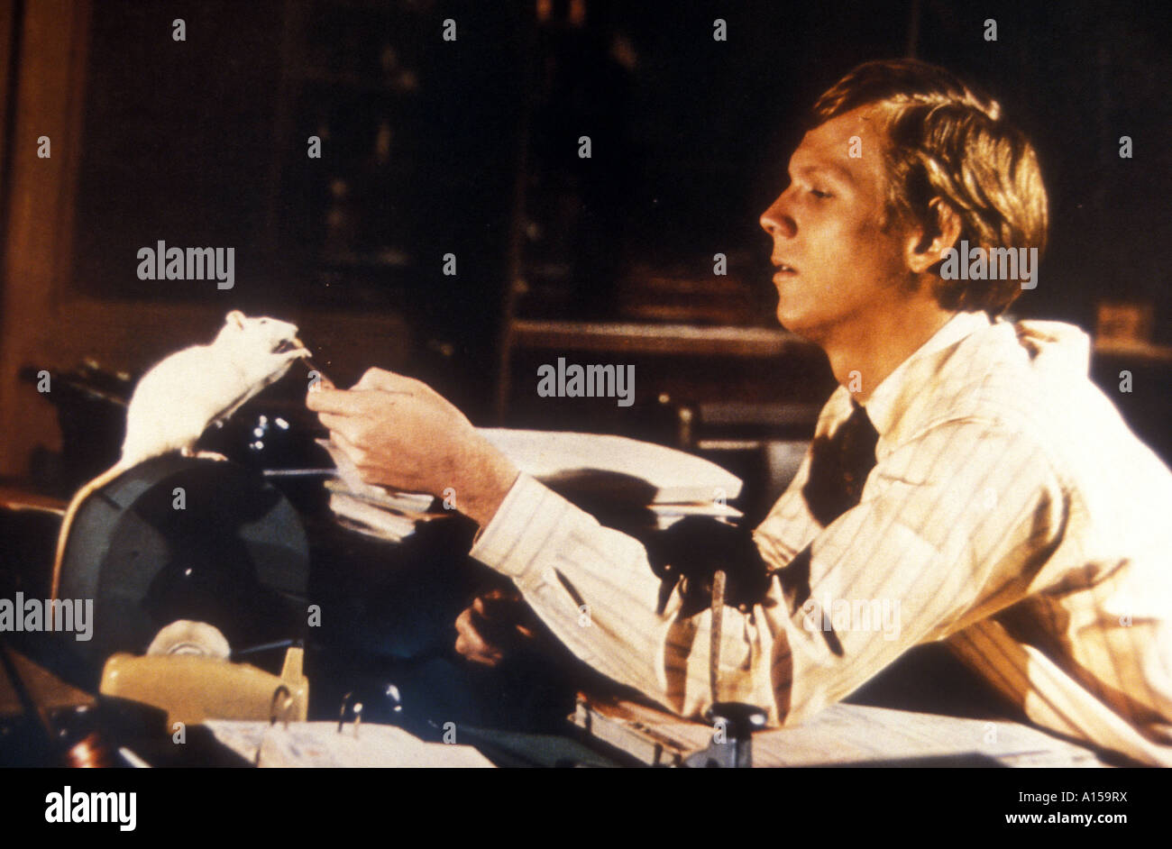 Willard Year 1971 Director Daniel Mann Bruce Davison Stock Photo - Alamy