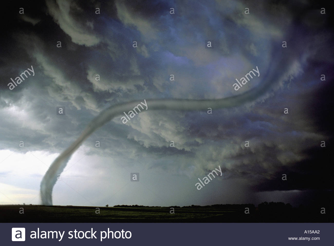 Ominus High Resolution Stock Photography and Images - Alamy