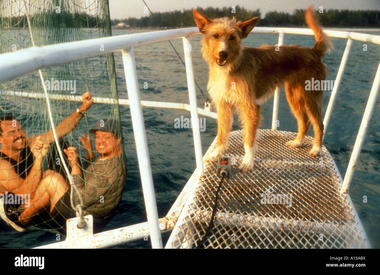 Zeus And Roxanne High Resolution Stock Photography and Images - Alamy