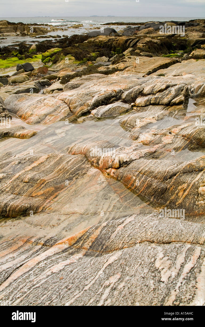 North uist hosta hi-res stock photography and images - Alamy