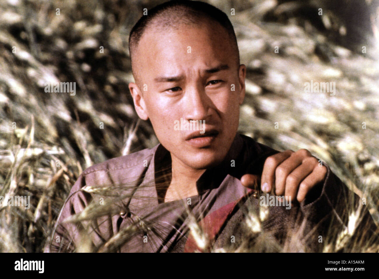 Samsara Year 2002 Director Nalin Pan Shawn Ku Stock Photo - Alamy Samsara Year 2002 Director Nalin Pan Shawn Ku Stock Photo - Alamy