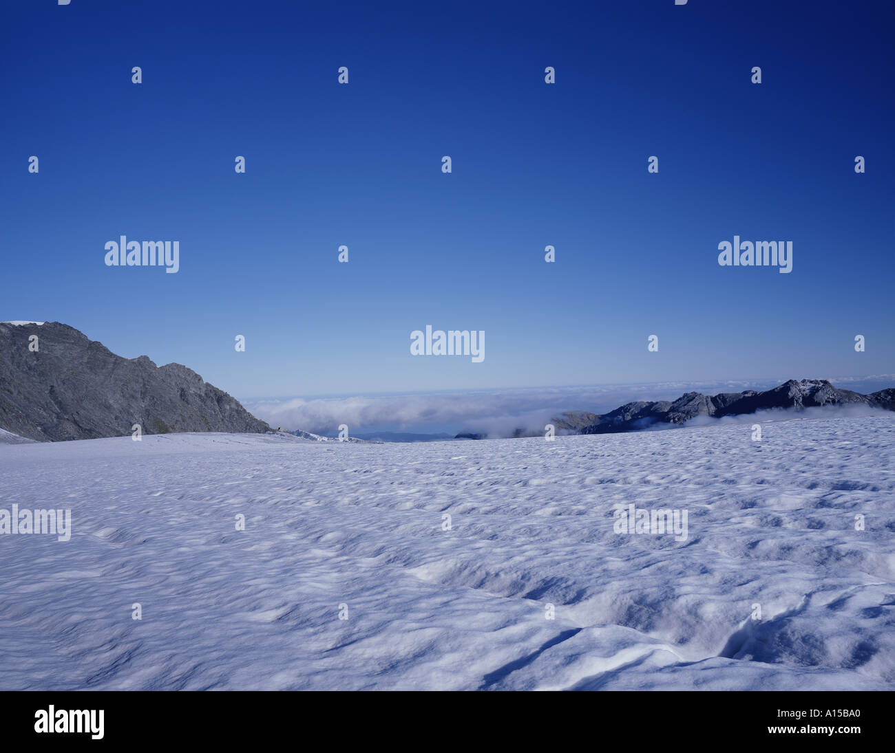 View of Fox Glacier New Zealand Stock Photo - Alamy