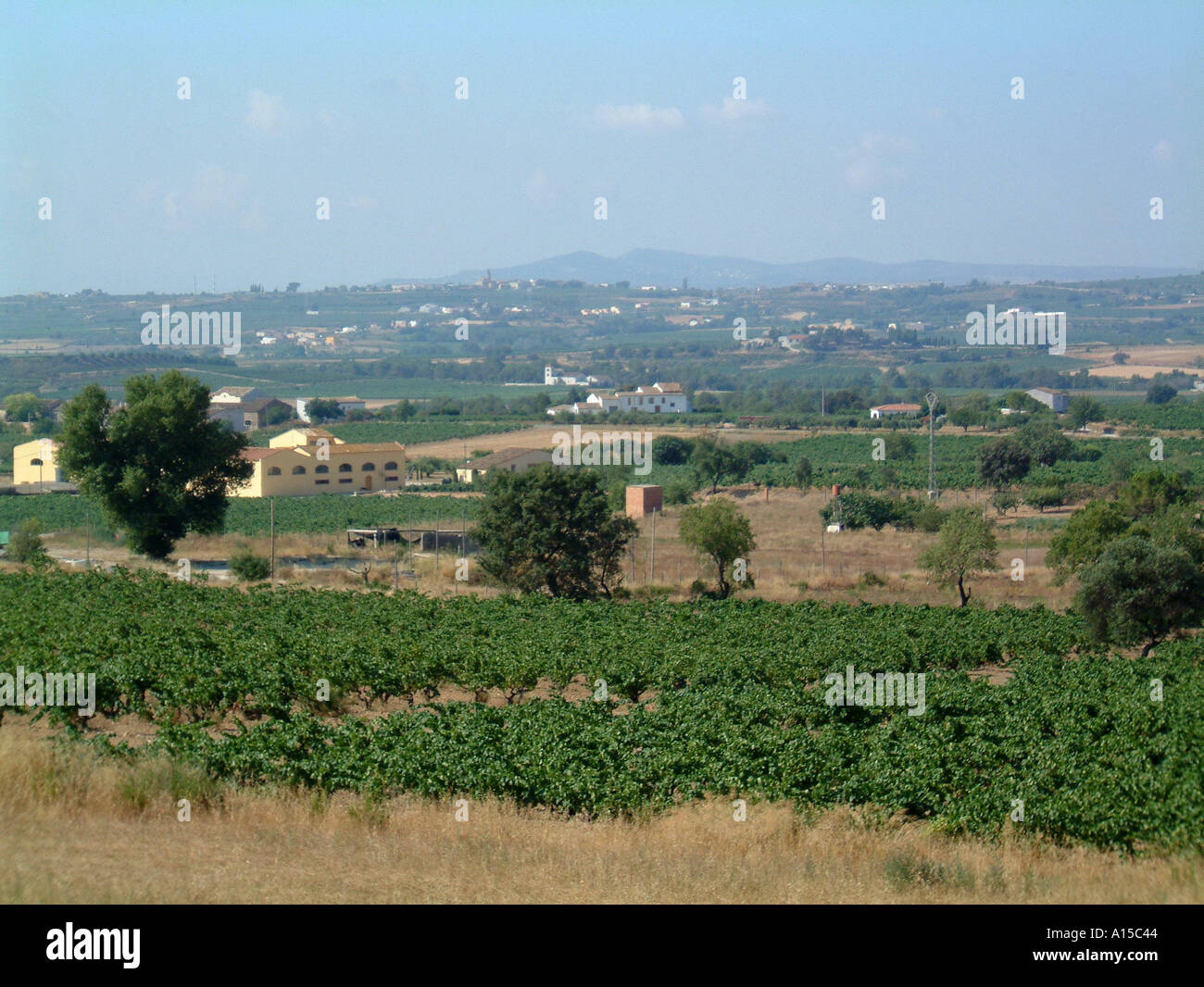 Penedes Stock Photos & Penedes Stock Images - Alamy