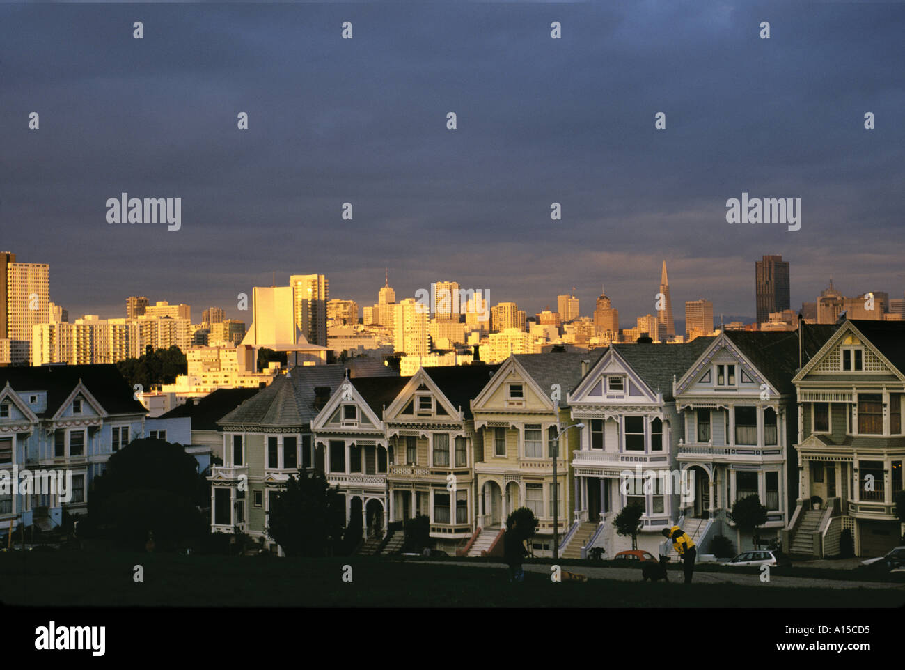 Painted Ladies Victorian Row Houses on Steiner Street with late ...