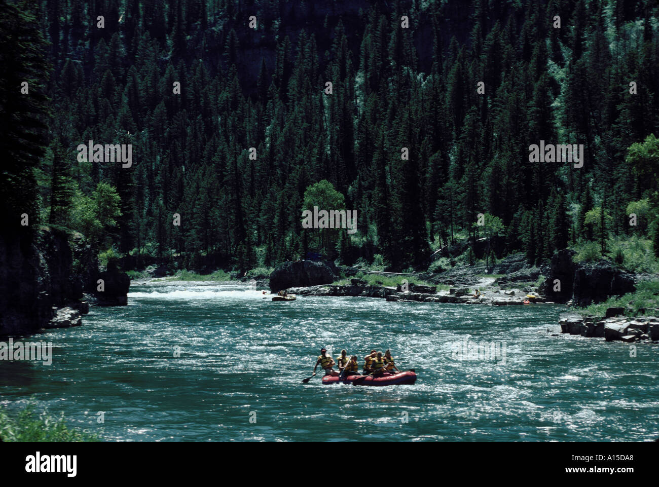 SPORT RAFTING SNAKE RIVER CANYON WYOMIN Stock Photo - Alamy