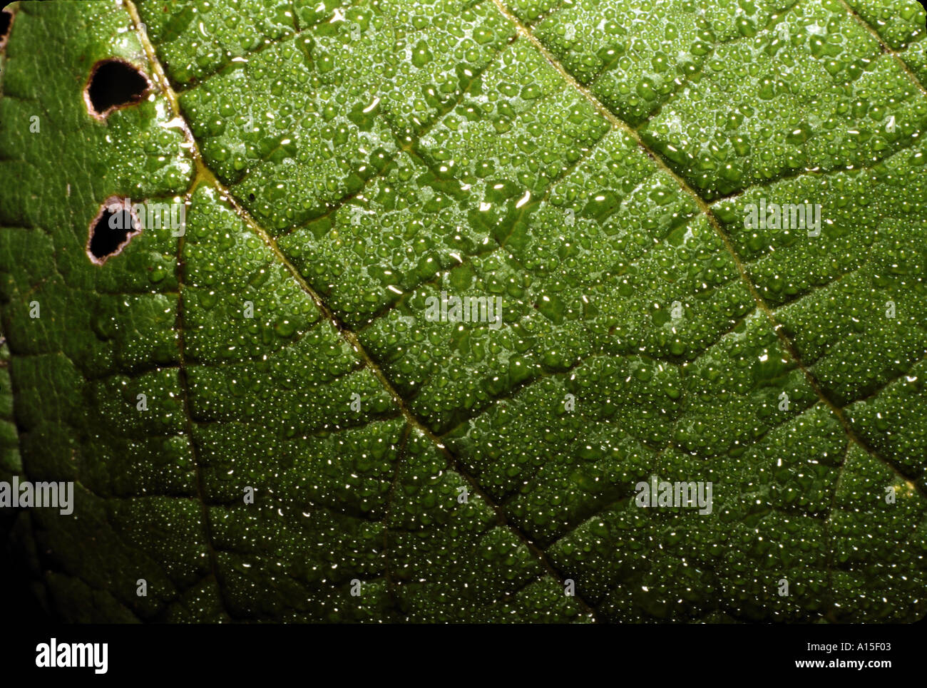 Columbia county new york hi-res stock photography and images - Alamy