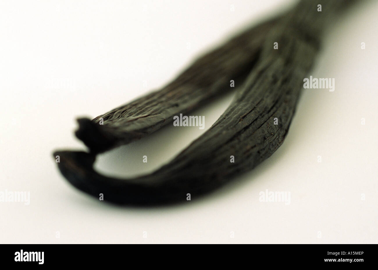 Vanilla planifolia seed pods hi-res stock photography and images - Alamy