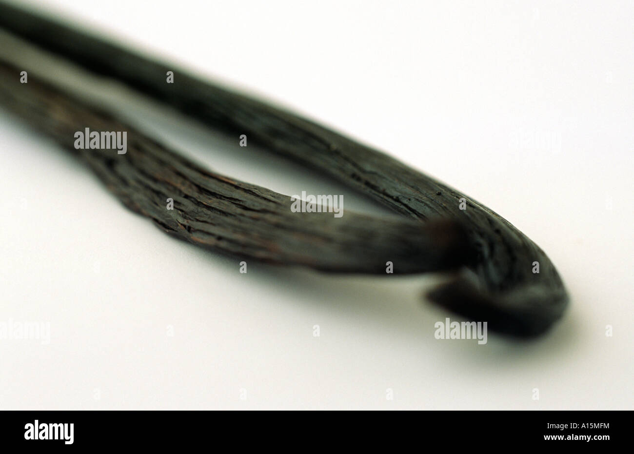 Vanilla planifolia seed pods hi-res stock photography and images - Alamy