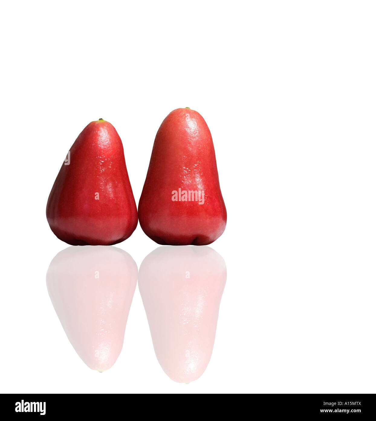 Water Apple 2 Stock Photo - Alamy