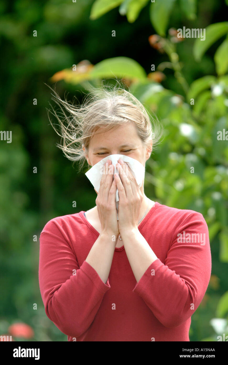 woman with allergy hay fever Stock Photo - Alamy