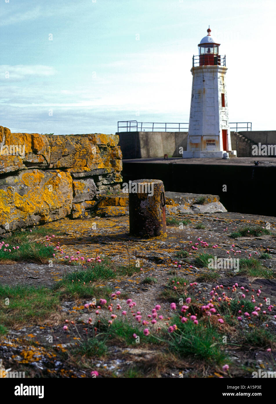 Lybster harbour hi-res stock photography and images - Alamy
