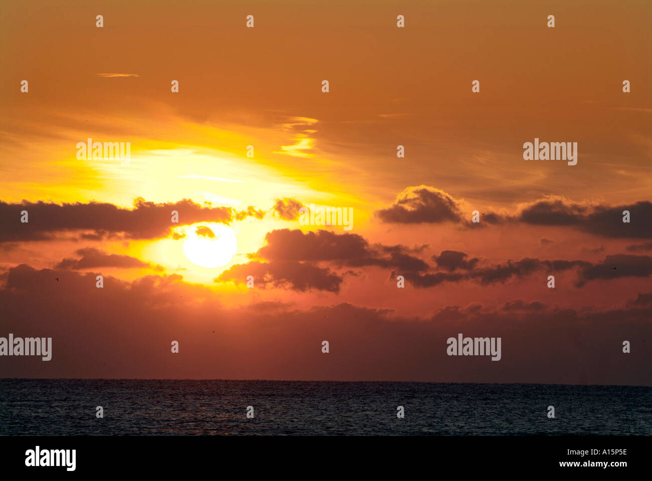 Twilight over gulf mexico hi-res stock photography and images - Alamy