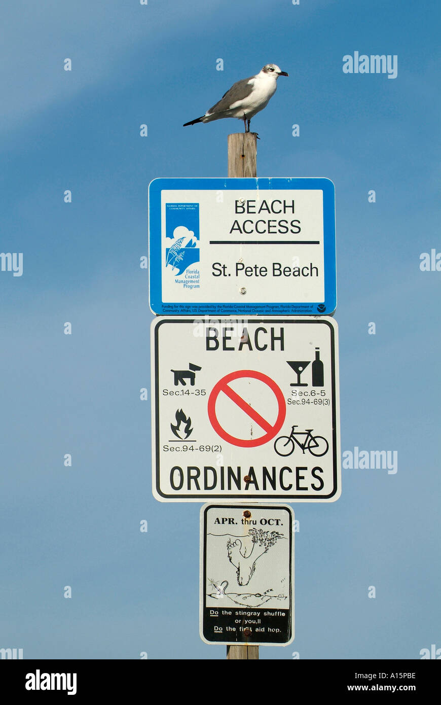 Signs along the St Pete Florida beach regulating use and protecting the ...