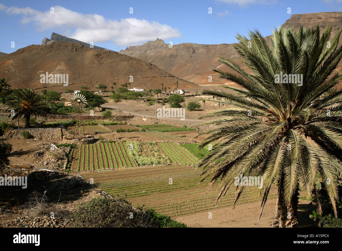 Cape Verde Islands. Sao Vicente. Agriculture at Madeiral Stock Photo ...