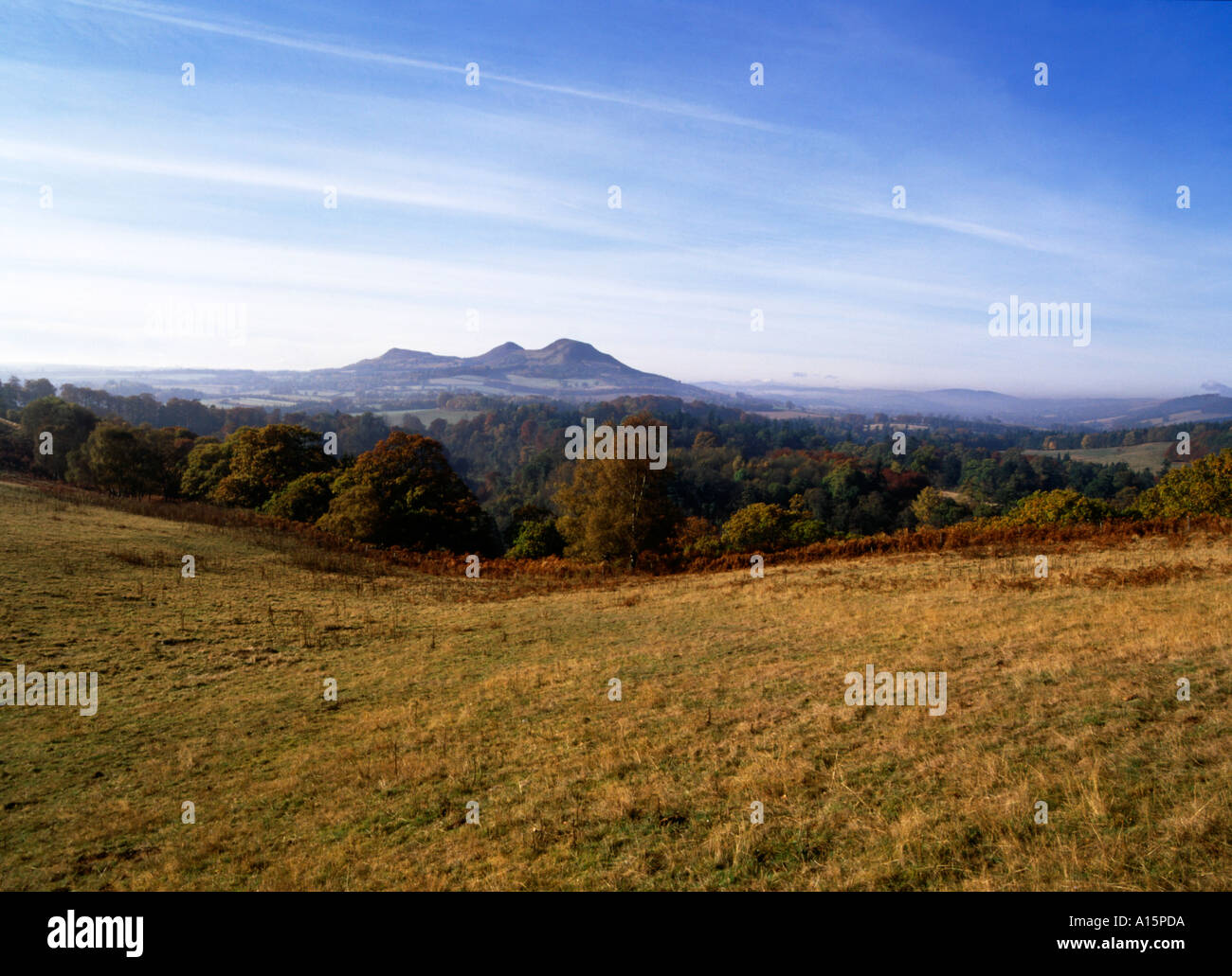 Eildon hills scotland hi-res stock photography and images - Alamy