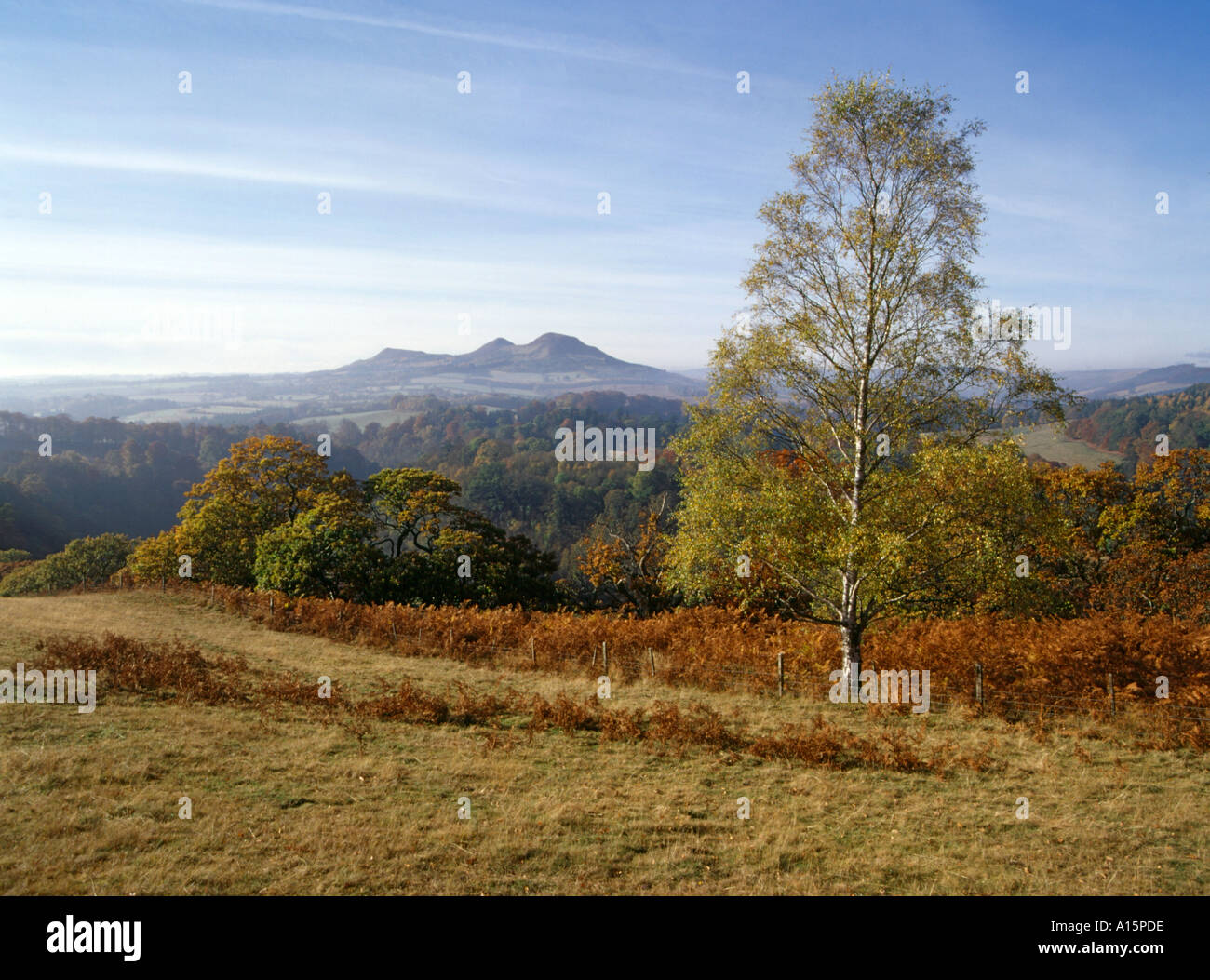dh Scotts View EILDON HILLS BORDERS Fields trees autumn valley and ...