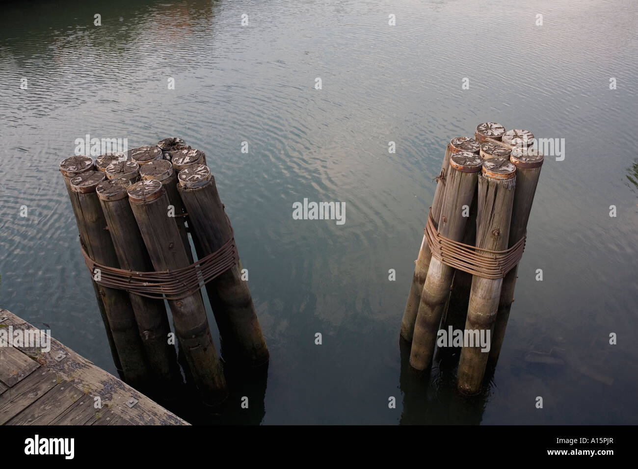 piers in water Stock Photo - Alamy