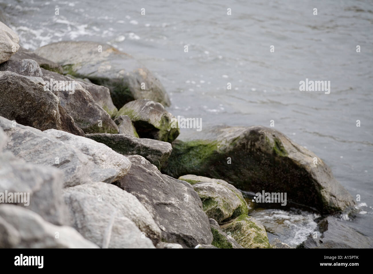 stones on ocean shore Stock Photo - Alamy