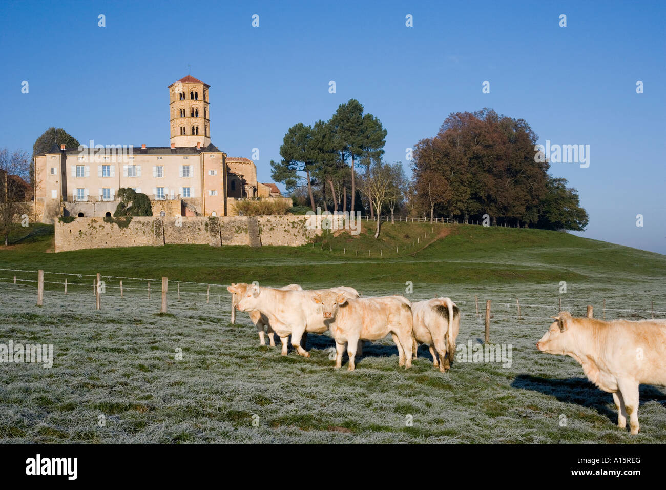 France burgundy anzy le duc hi-res stock photography and images - Alamy