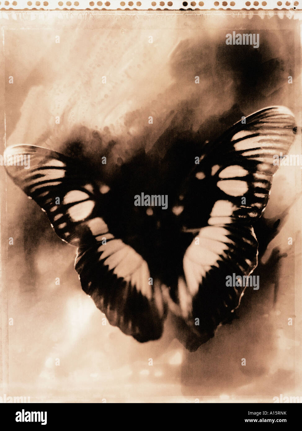 Lith developer hi-res stock photography and images - Alamy