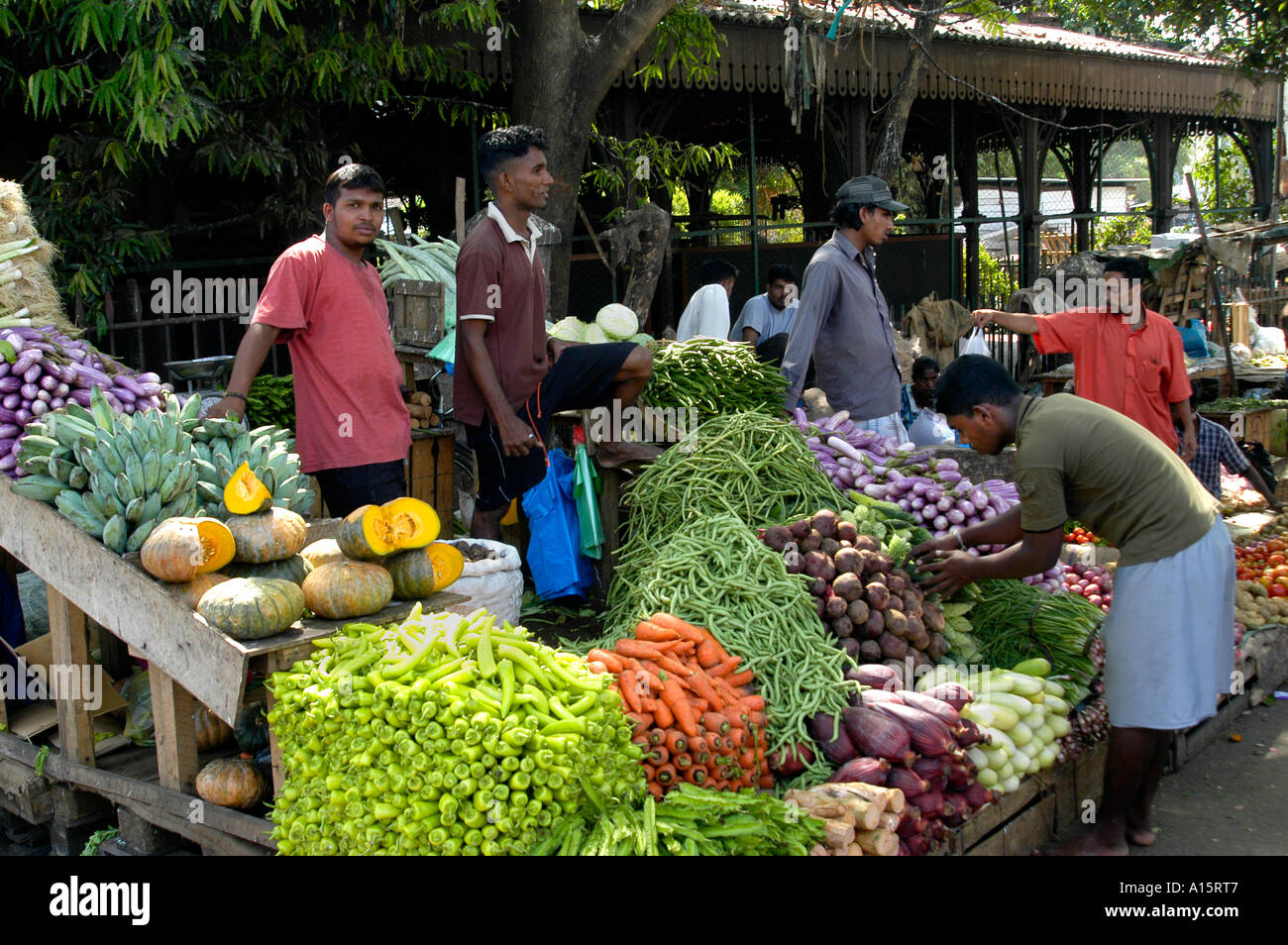 Sri Lanka Greengrocer market fruit banana grocer Stock Photo - Alamy