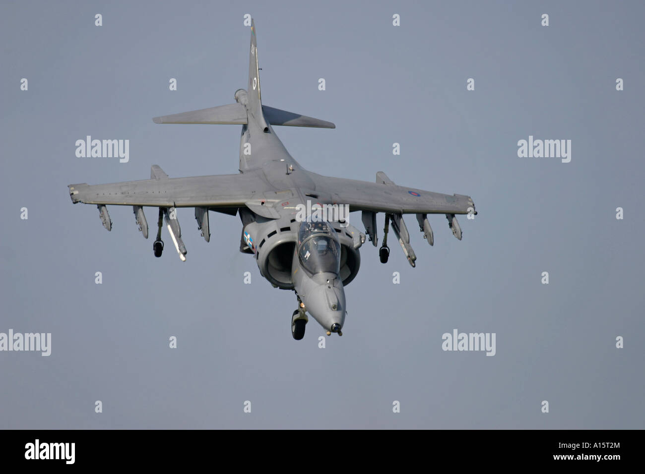 RAF Harrier GR7 in the hover Stock Photo - Alamy