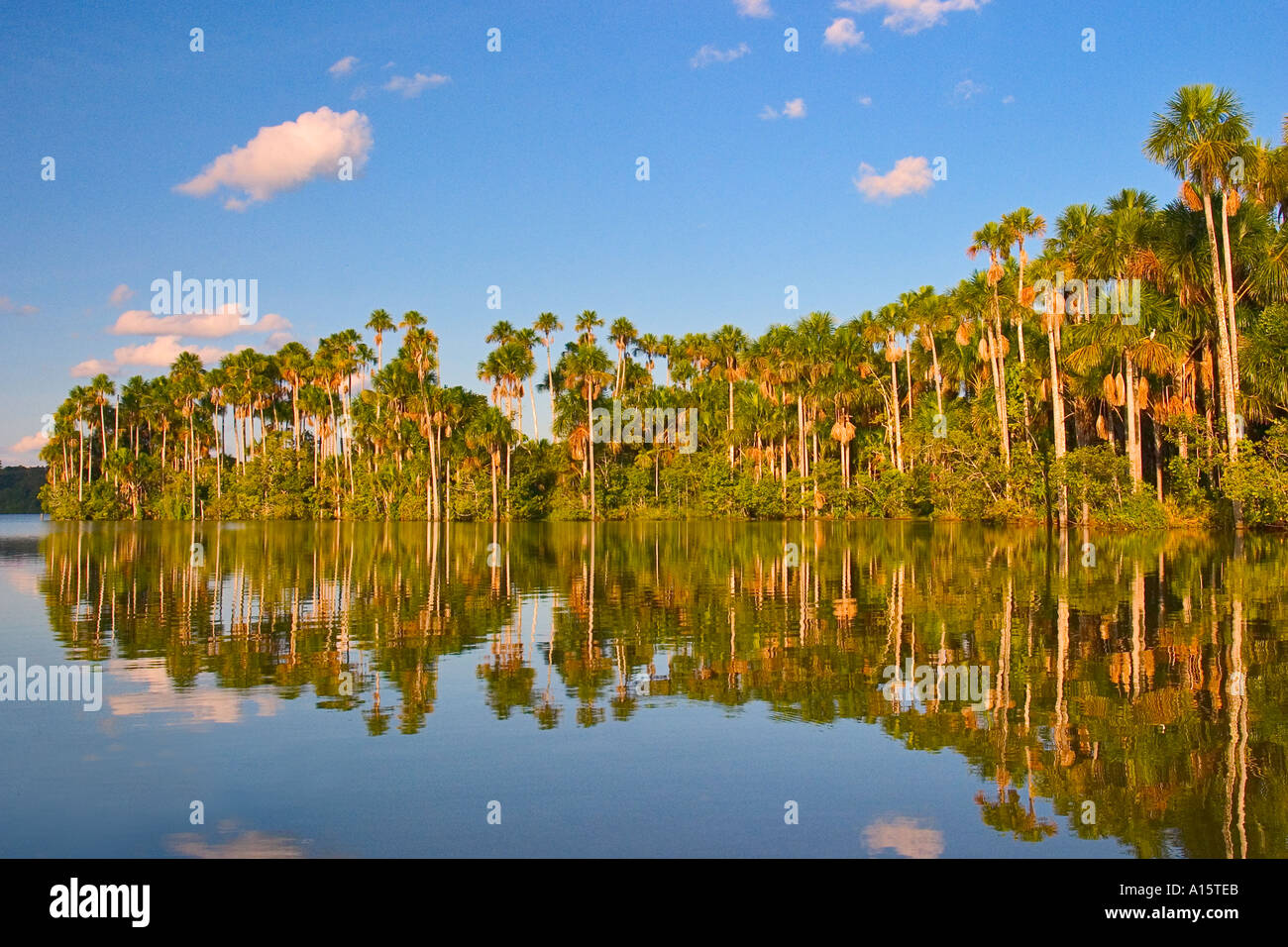 Sandoval Lake at Sunset Amazon Basin Peru Stock Photo - Alamy