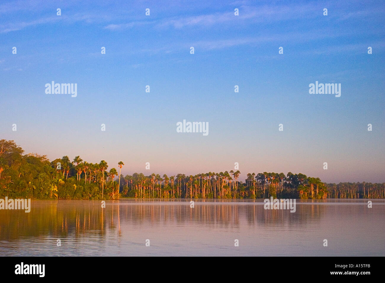 Sandoval lake at sunrise Tambopata reserva Amazon Basin Peru Stock ...