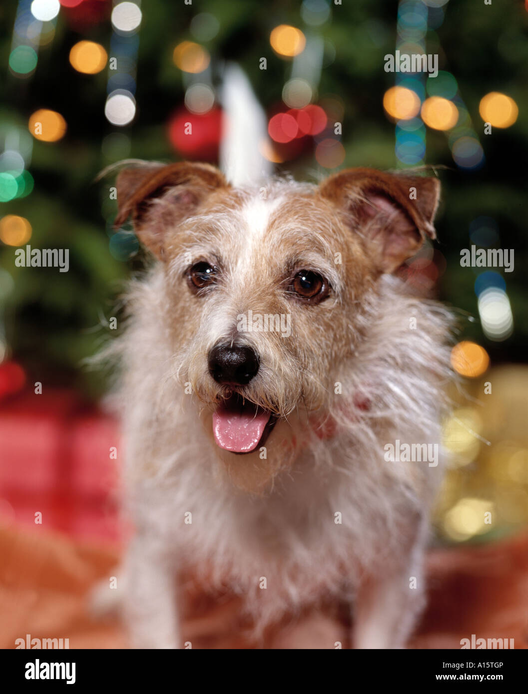 Anticipate hi-res stock photography and images - Alamy